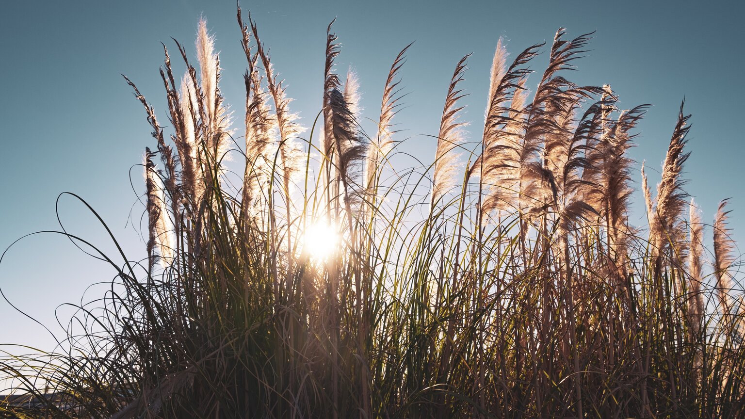 Solarenergie | Encavis