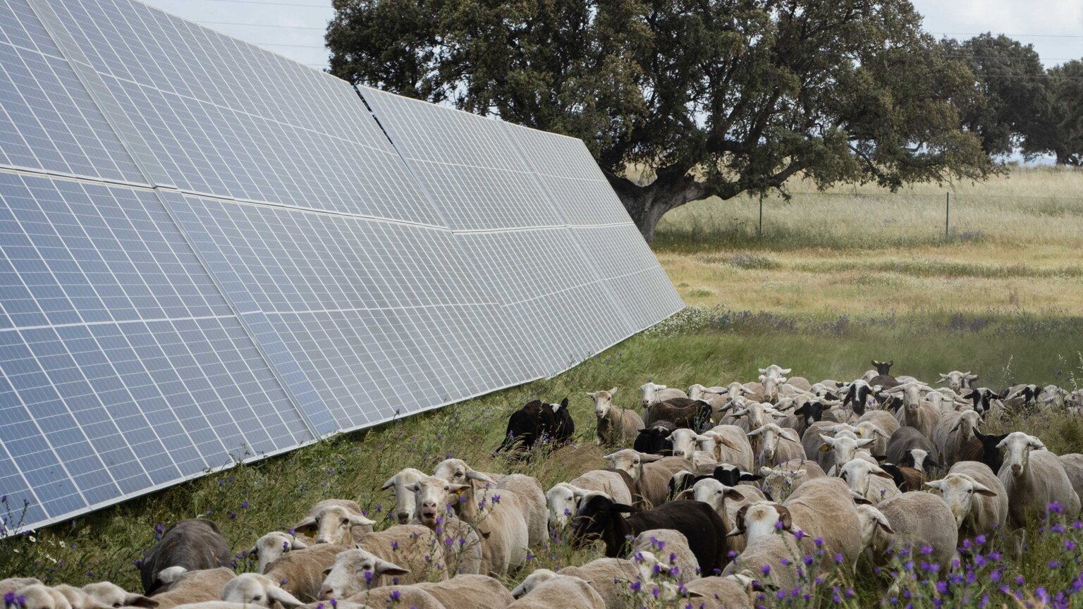 Sustainability | Encavis